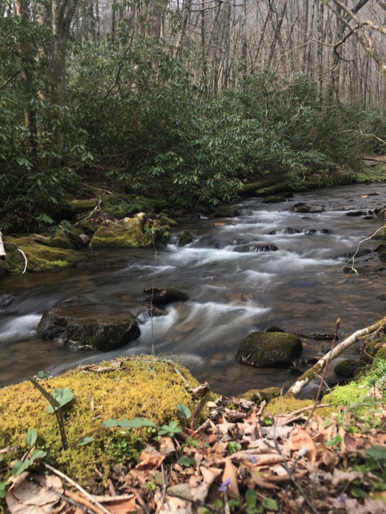 Standing Indian Loop – Birthday Girl Hikes